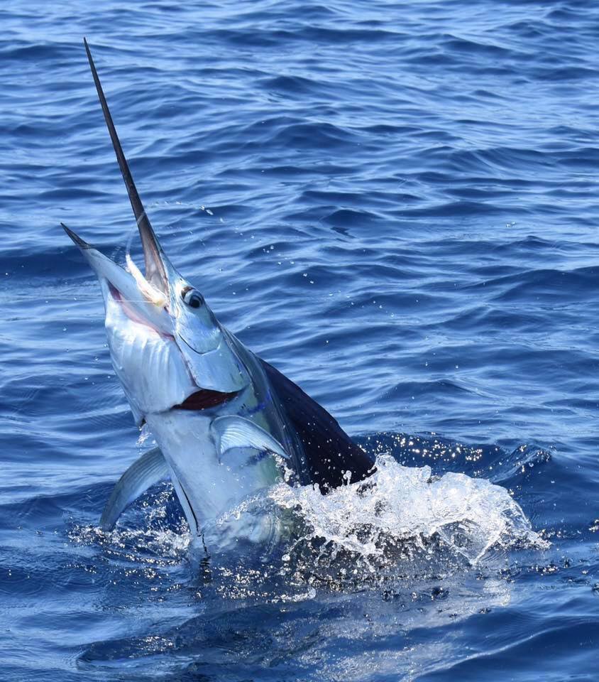 WIDE OPEN Outfitters & Adventures